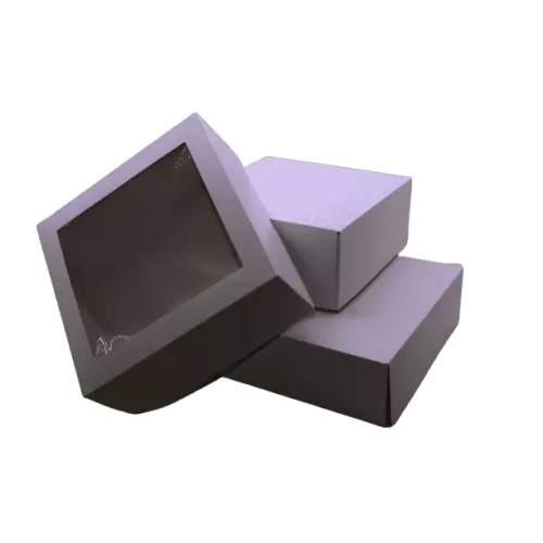 CAJA MULTIUSO CON VISOR 24,5X24,5X10 CM